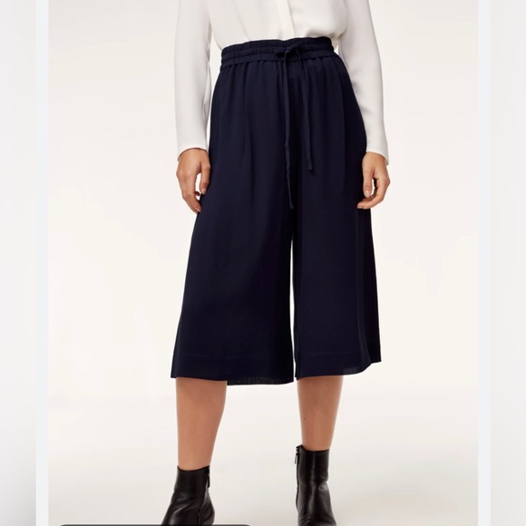 Aritzia | Pants & Jumpsuits | Aritzia Babaton Luiz Culottes Navy Xs ...